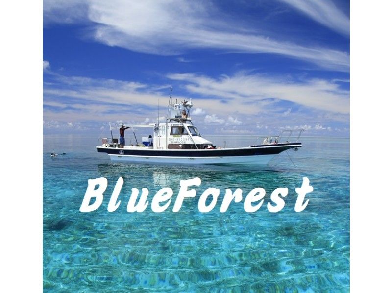 Blue Forest 宮古島(ブルーフォレスト)のプラン一覧 | アクティビティジャパン