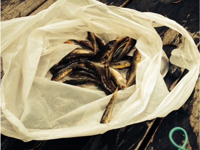 HTFJカンパニーの予約・アクセス・営業時間 | アクティビティジャパン