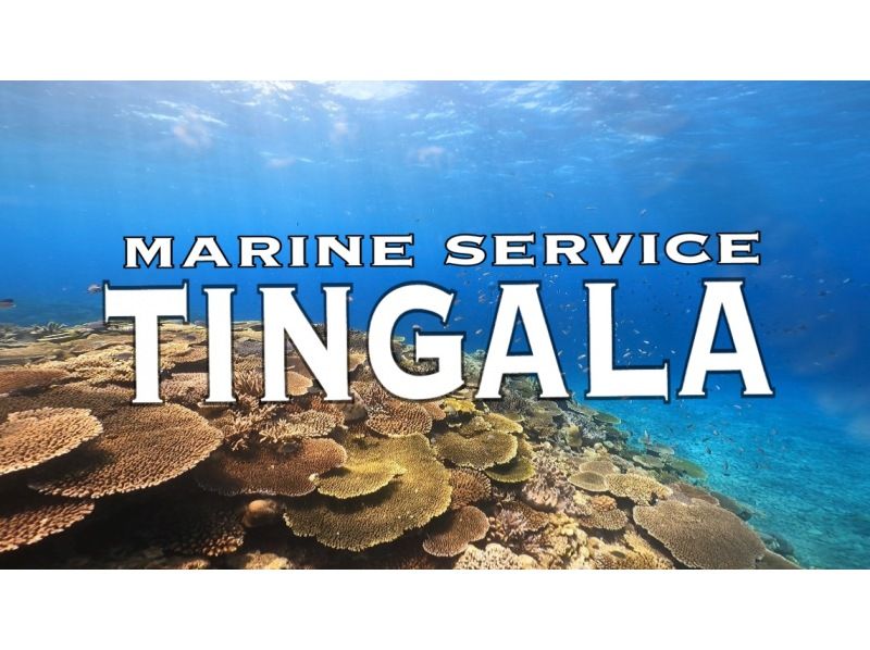 marine service TINGALAの予約・アクセス・営業時間 | アクティビティジャパン