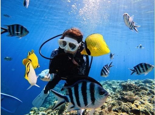 diving＆workshop IHANASHIの予約・アクセス・営業時間 | アクティビティジャパン