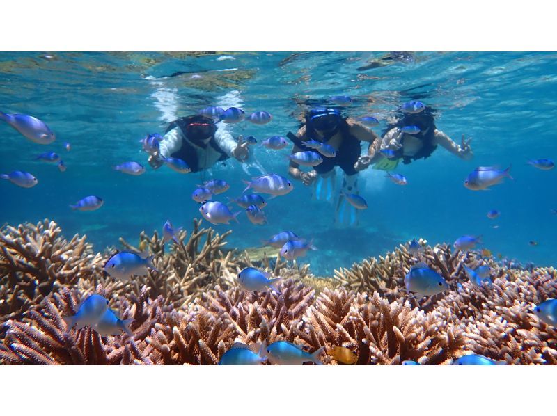 [Okinawa Blue Cave Yaebise] Let's enjoy the sea of Irabu ♪ Blue cave ...