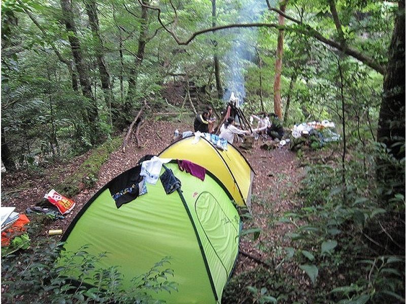 【大分・佐伯市】春の藤河内渓谷【1泊2日】観音小滝への沢登り(1組限定)焚火野営.2食/弁当/温泉/おやつ付【装備無料】 | アクティビティジャパン