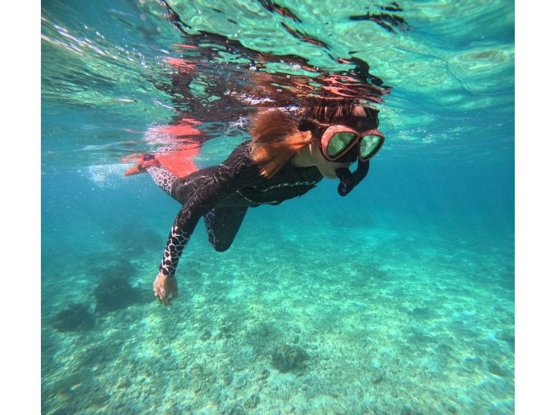 小さなお子様のいるファミリーや泳ぎに自信がない方におススメ！！貸切☆珊瑚礁と魚を見るなら真栄田岬【ハユウ浜シュノーケル】 | アクティビティジャパン