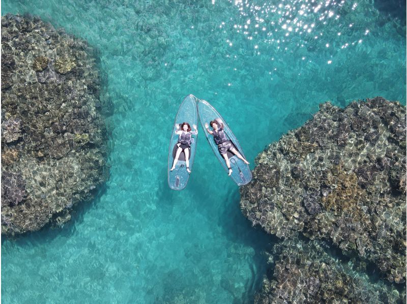 [Okinawa Main Island/Onna Village/Headquarters Area] Very popular!! Clear Sap Tour ♪ Real ...