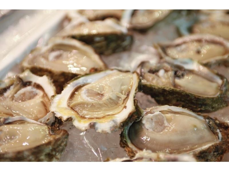 ウィンターセール実施中【冬季限定】京都の舞鶴カキ小屋ツアー ～蒸し焼きの天然真牡蠣～〈専用車1台8名様限定〉 | アクティビティジャパン