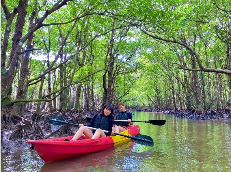 【石垣島・大人気スポット】sup Orカヤック体験‼️熱帯雨林の自然を颯爽♪『不思議な海の森マングローブ』写真付き‼️シャワー更衣室完備‼️