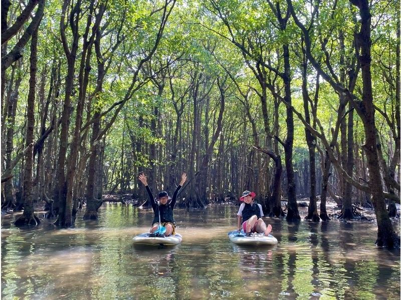 【石垣島・大人気スポット】sup Orカヤック体験‼️熱帯雨林の自然を颯爽♪『不思議な海の森マングローブ』写真付き‼️シャワー更衣室完備‼️の