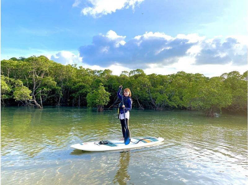 【石垣島・大人気スポット】sup Orカヤック体験‼️熱帯雨林の自然を颯爽♪『不思議な海の森マングローブ』写真付き‼️シャワー更衣室完備‼️