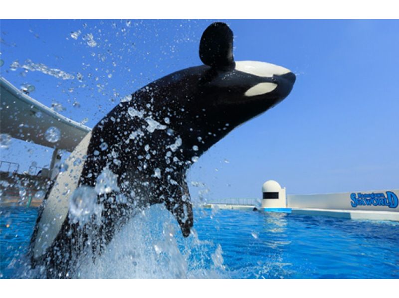 [From Shinjuku] Kisarazu, Zakuzaku & Kamogawa Sea World where you can ...