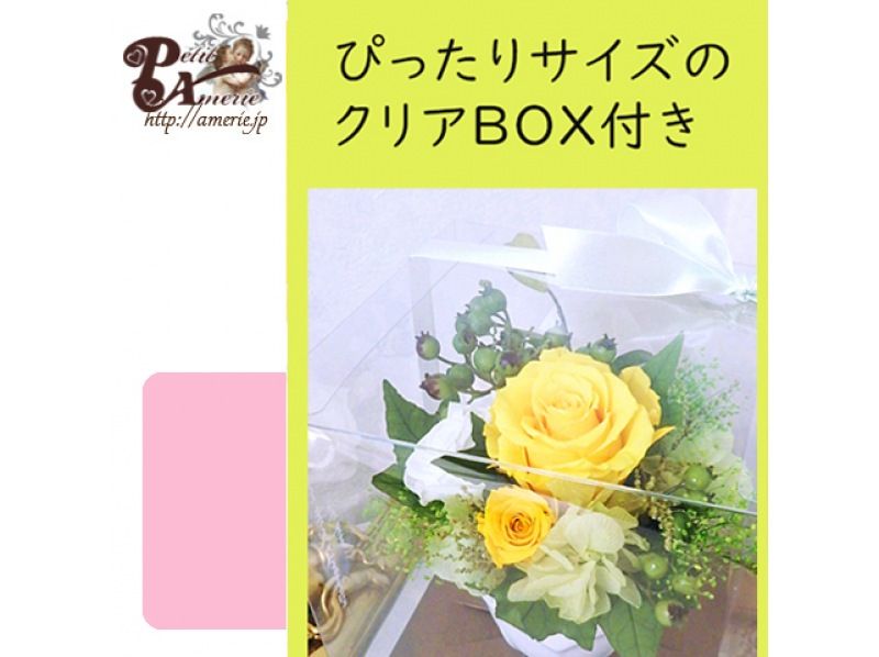 神奈川・横浜】プリザーブドフラワー「ポットアレンジ クリアBOX 神奈川・横浜】プリザーブドフラワー「ポットアレンジ クリアBOX