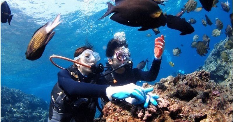 【沖縄青の洞窟おすすめ店】高画質でツアー中の動画・写真を撮影！レビュー五ツ星獲得「Lei Marine Service」 | アクティビティジャパン