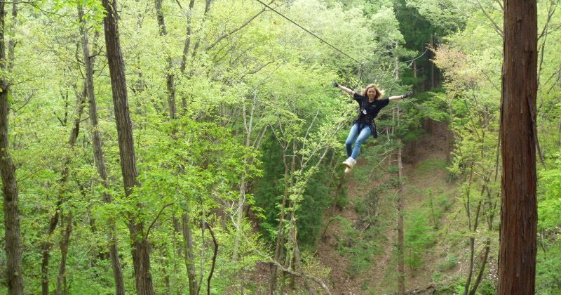 Forest adventure is super fun! Next is "Forest Adventure · Chichibu ...