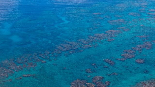 Amami Islands National Park Sightseeing Spots Play Leisure Special ...