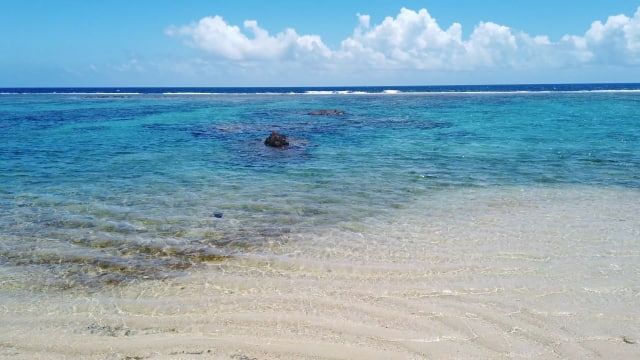 Amami Islands National Park Sightseeing Spots Play Leisure Special ...