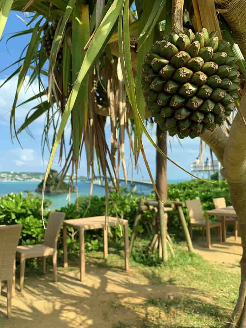 Kouri Island Power Spot Sightseeing / Access / Snorkel Recommended Tour ...