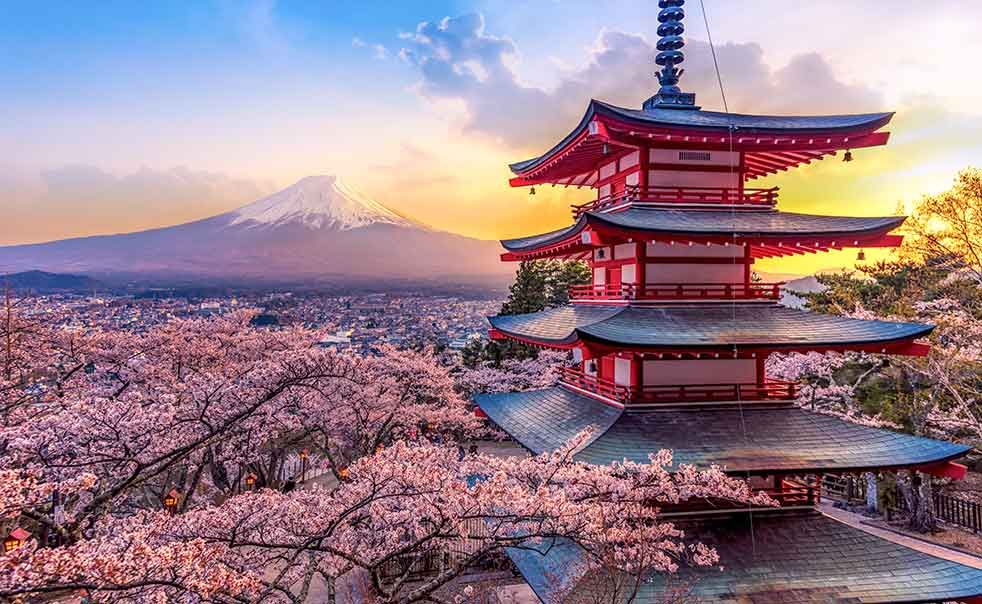 The Best Attractions, Activities & Tours in Kanto - 2024 | Activity ...